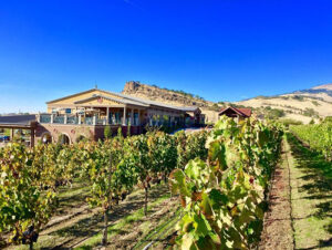 Our Story - Belle Fiore Winery & Vineyard