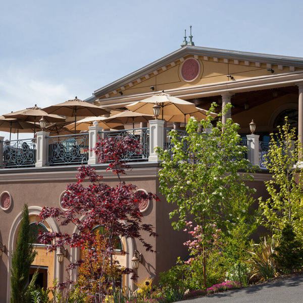 The Pavilion Lower Tasting Room - Belle Fiore Winery & Vineyard